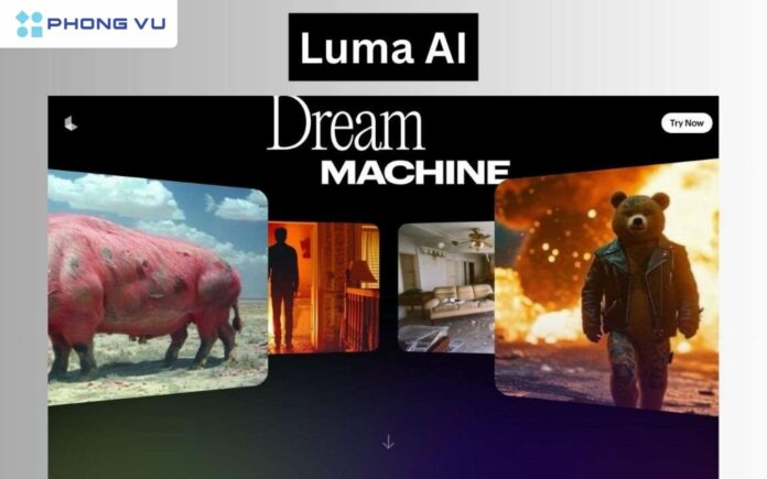 Luma AI là gì? Hướng dẫn sử dụng Luma AI tạo video 3D miễn phí | Phongvu.vn