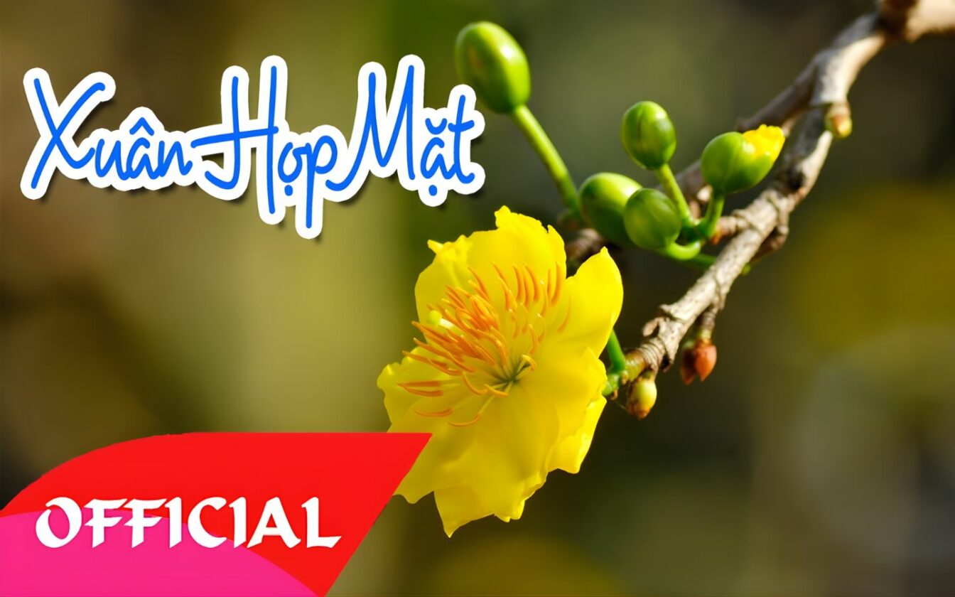 20+ Bài nhạc tết bất hủ, hay nhất mọi thời đại